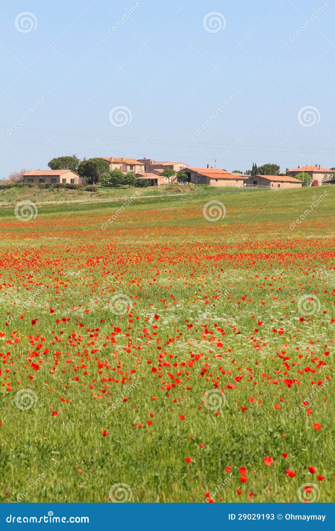 Tuscany Field and Village in Spring, Italy Stock Image - Image of poppy ...