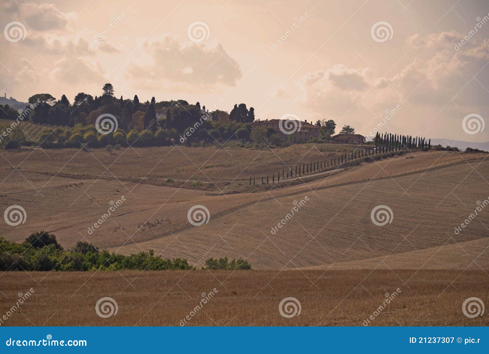 Tuscany Fields Landscape, Italy Stock Image - Image of natural, late ...