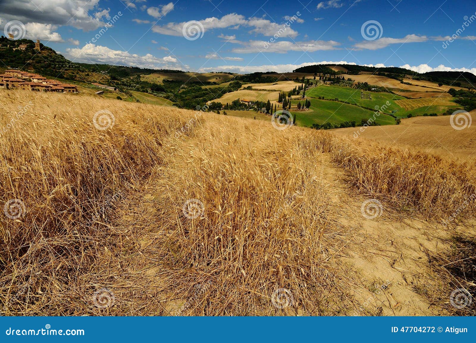 Tuscany fields stock photo. Image of bright, beauty, beautiful - 47704272