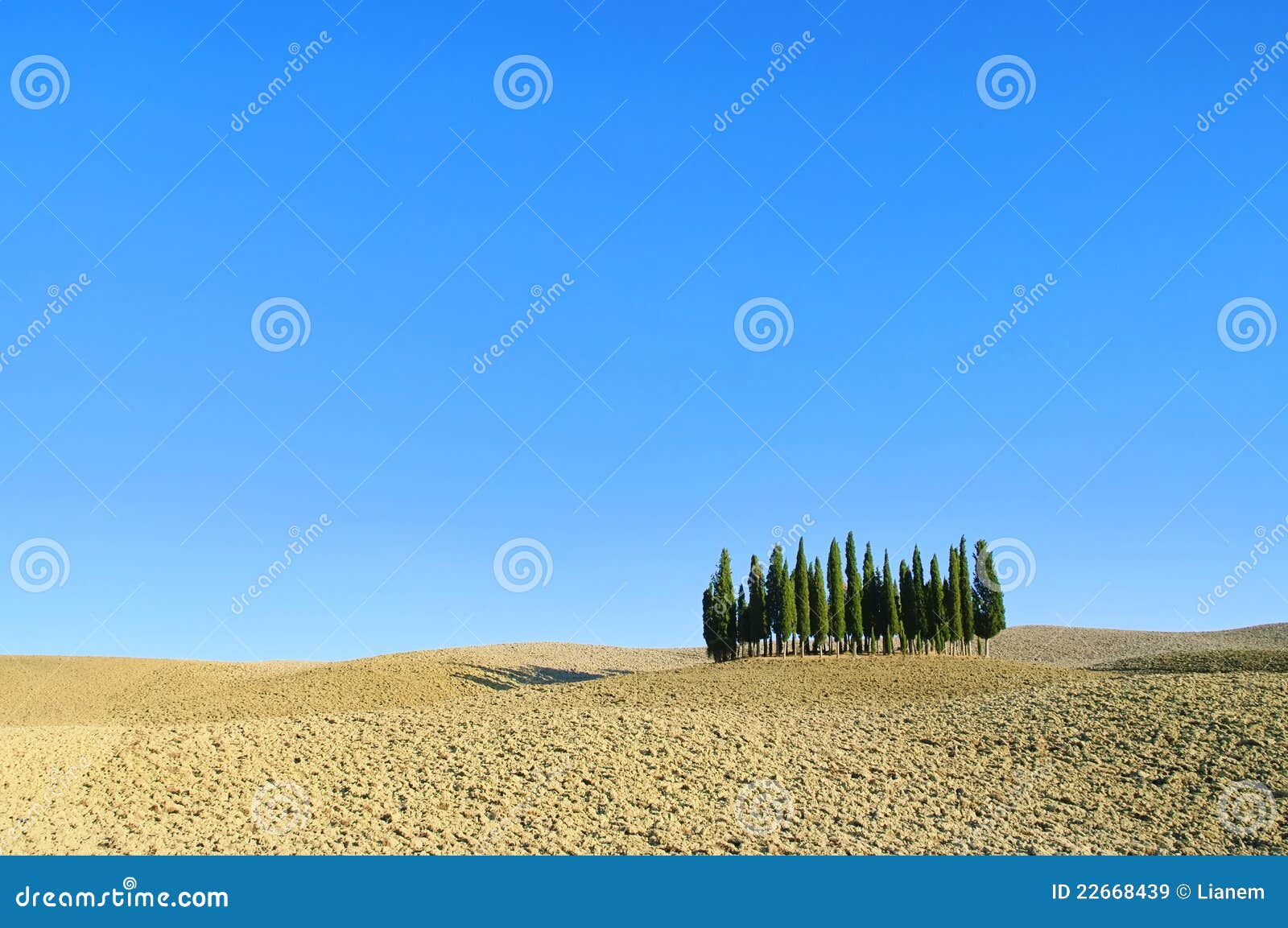Tuscany forest in fall stock image. Image of hillside - 22668439