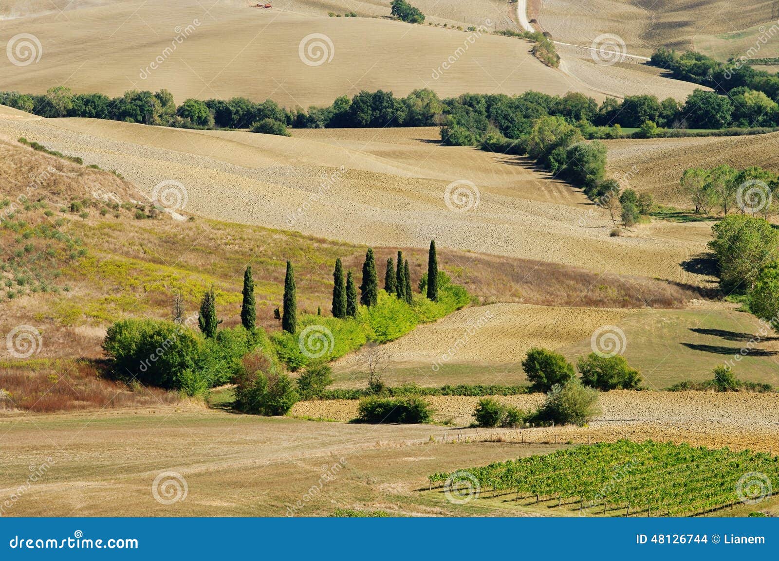Tuscany hills in fall stock photo. Image of farmland - 48126744