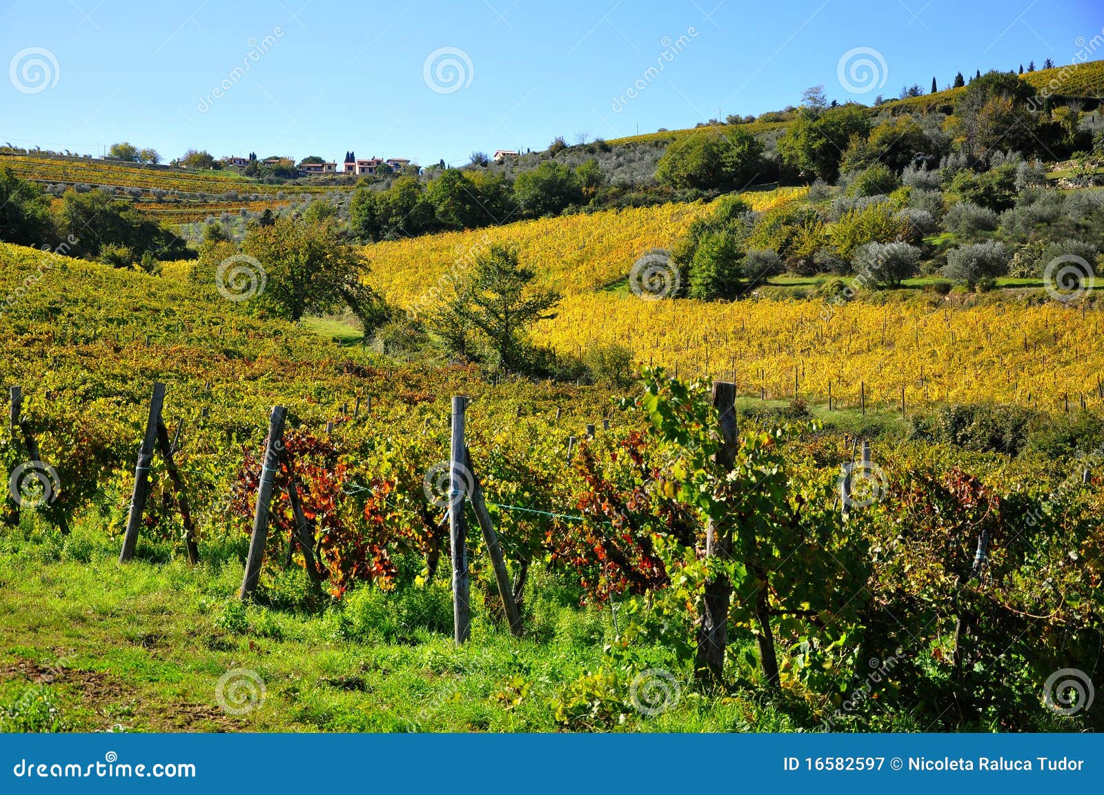 Agriculture in Tuscany , Italy Stock Image - Image of home, agriculture ...