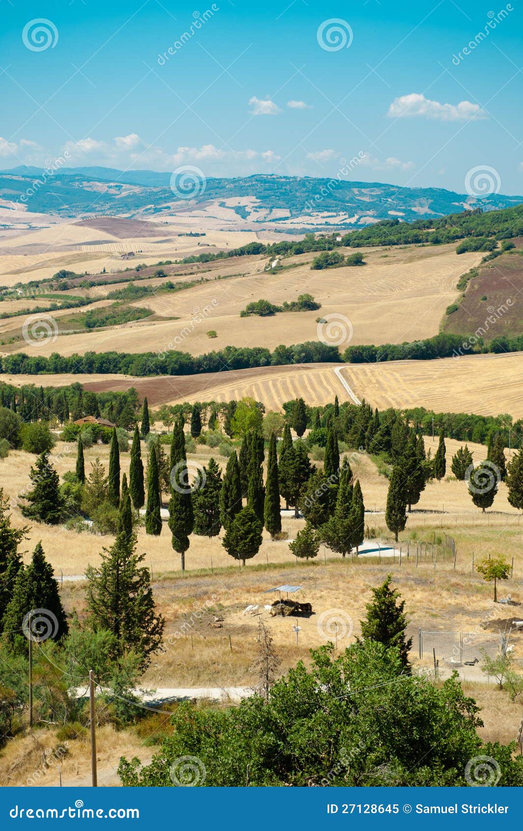 Tuscany Landscape stock image. Image of grass, italian - 27128645