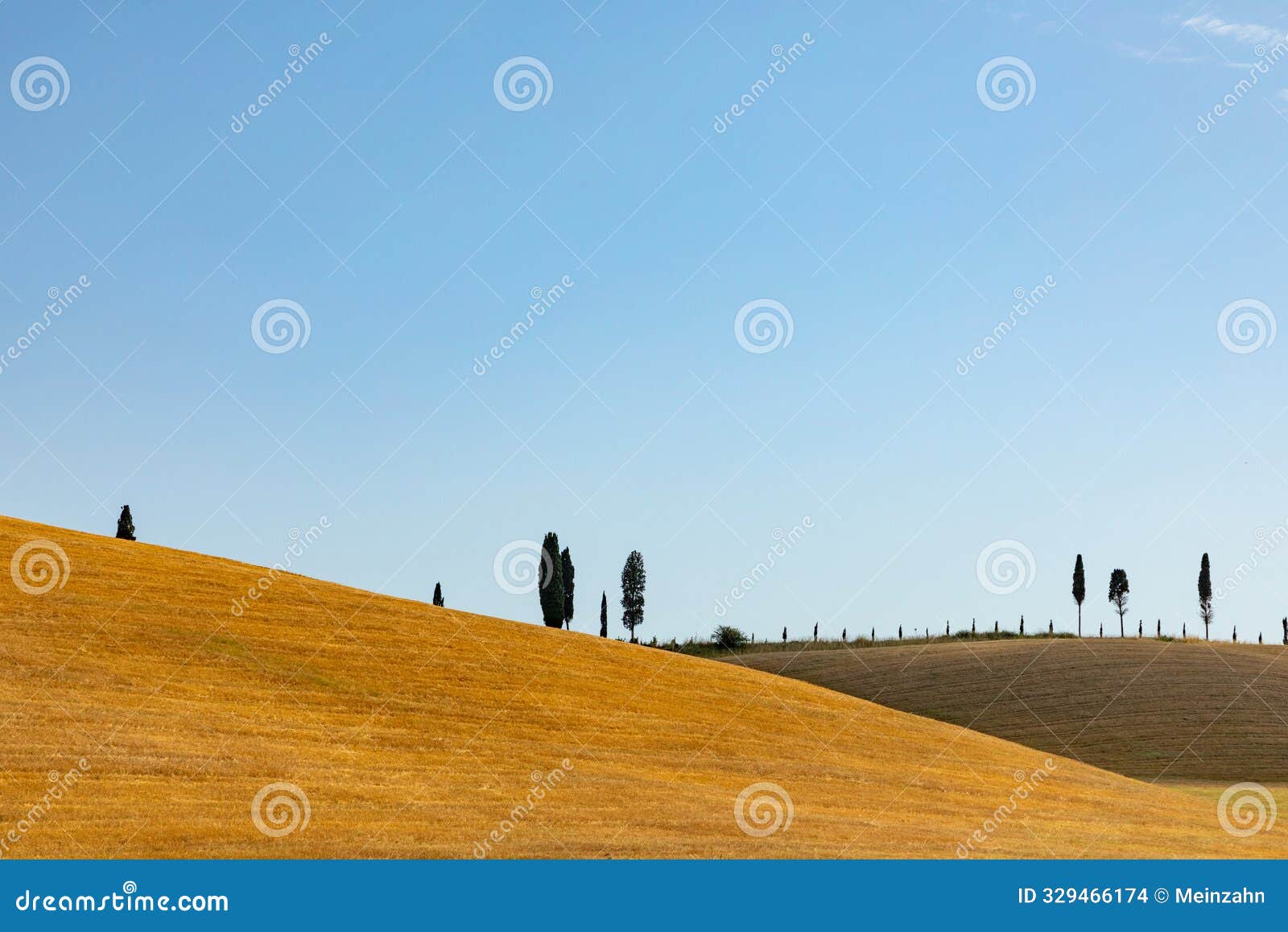 Tuscany Landscape with Hills, Orange Meadows and Trees in Background ...