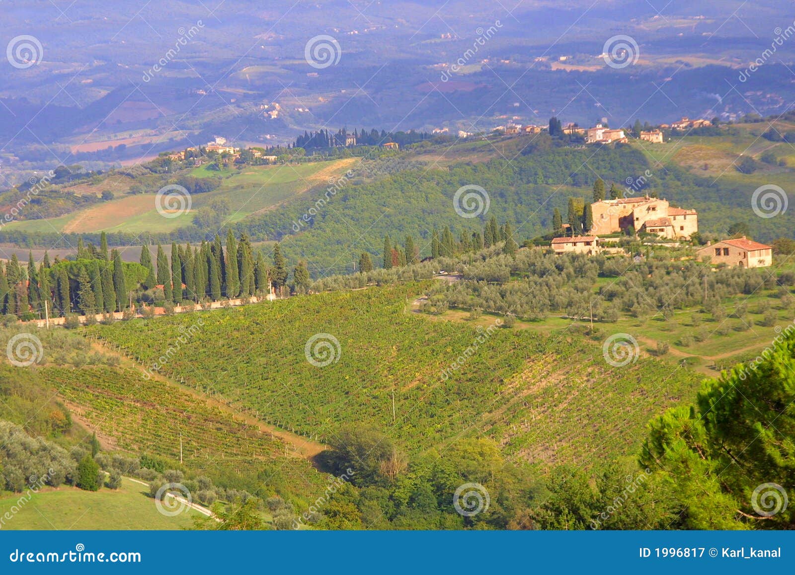 Tuscany landscape - italy stock image. Image of flower - 1996817