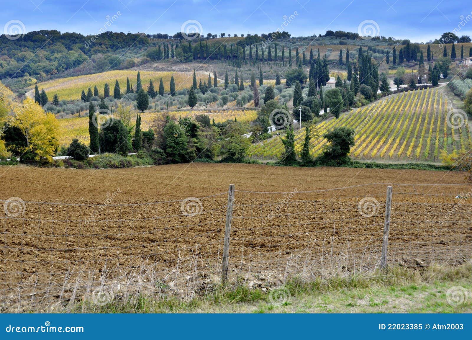 Tuscany landscape - Italy stock image. Image of hills - 22023385