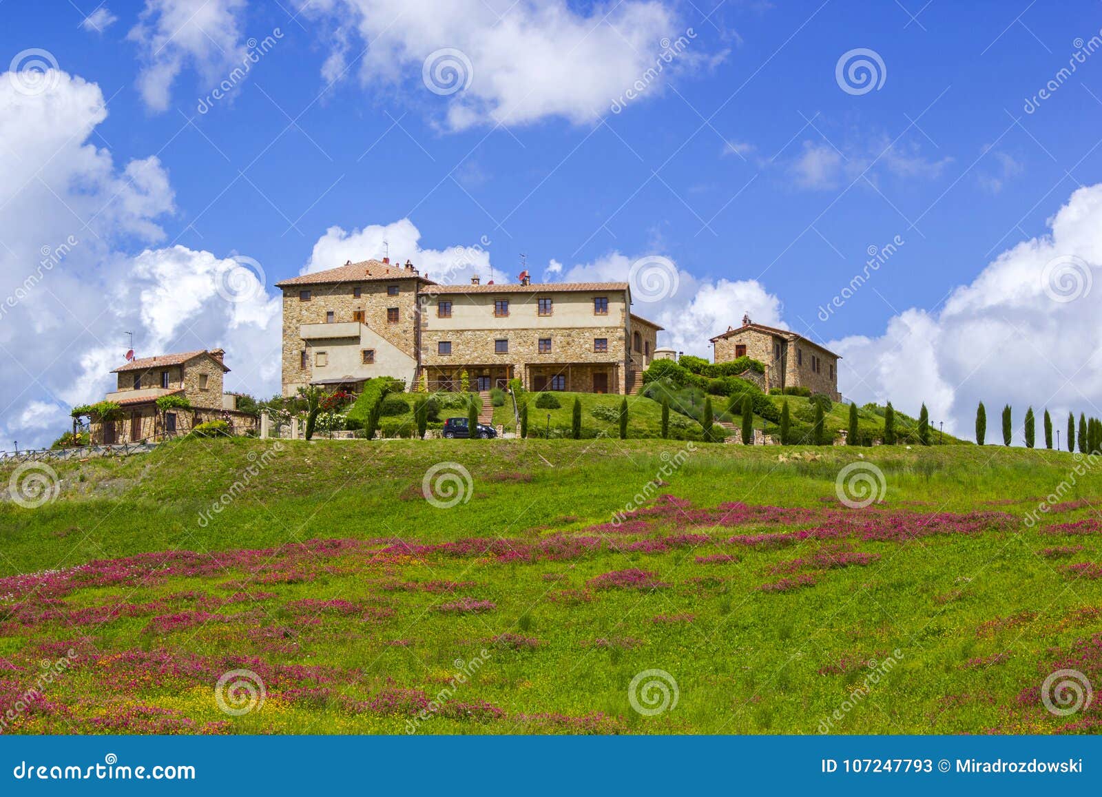Tuscany - Landscape with Spring Flowers Stock Image - Image of flowers ...