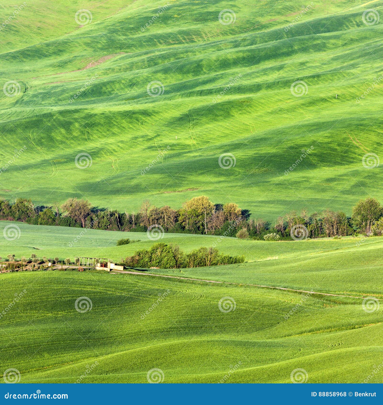 Tuscany Landscape during Spring Stock Photo - Image of square, nature ...