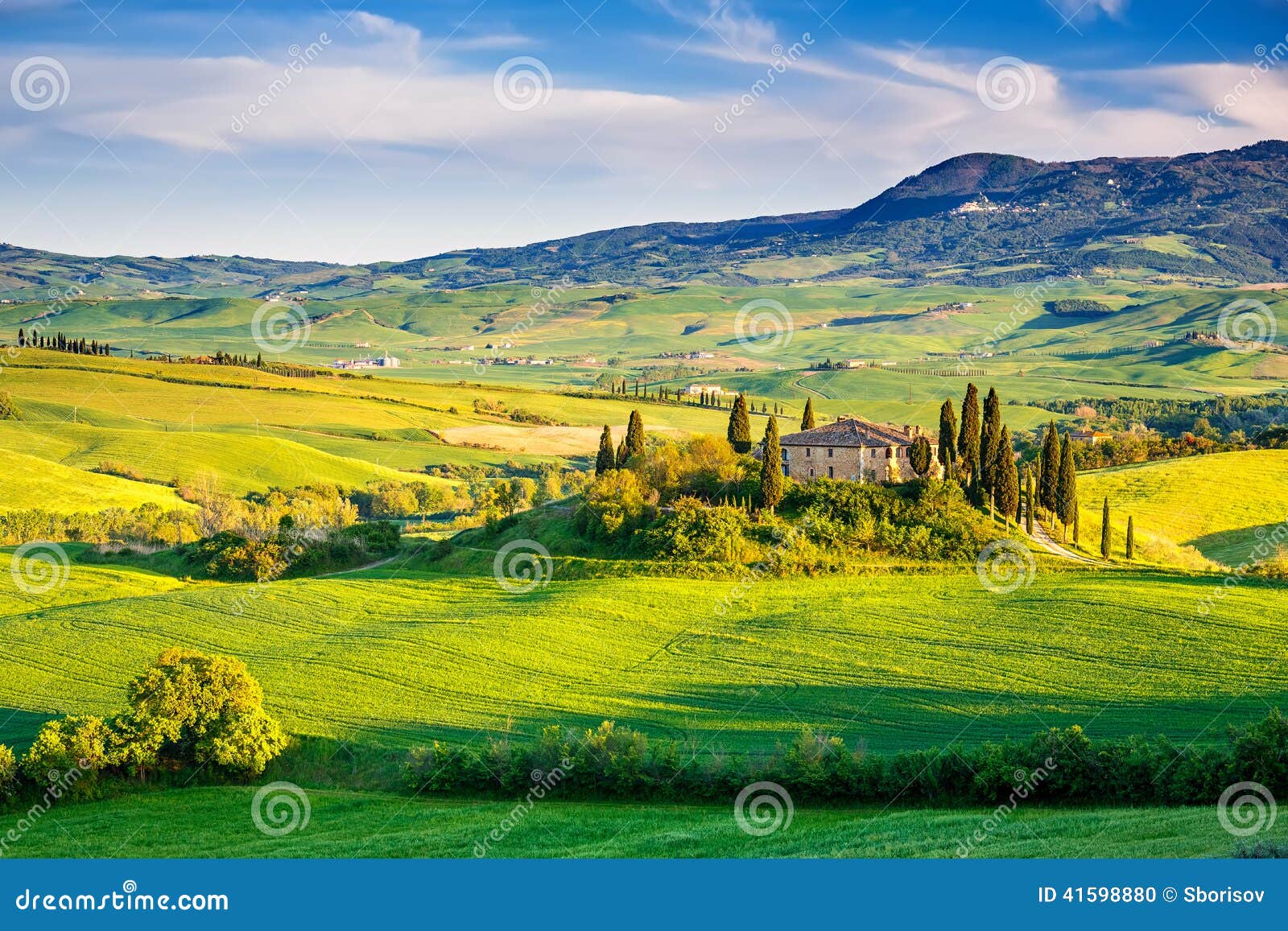 Tuscany Landscape at Sunset Stock Photo - Image of peaceful, meadow ...
