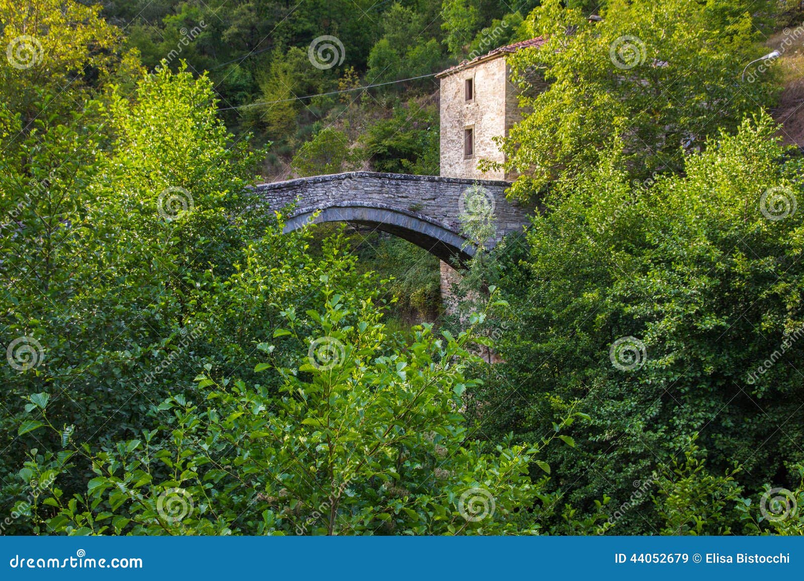 Tuscany Medieval Village on Forest Stock Image - Image of casentino ...