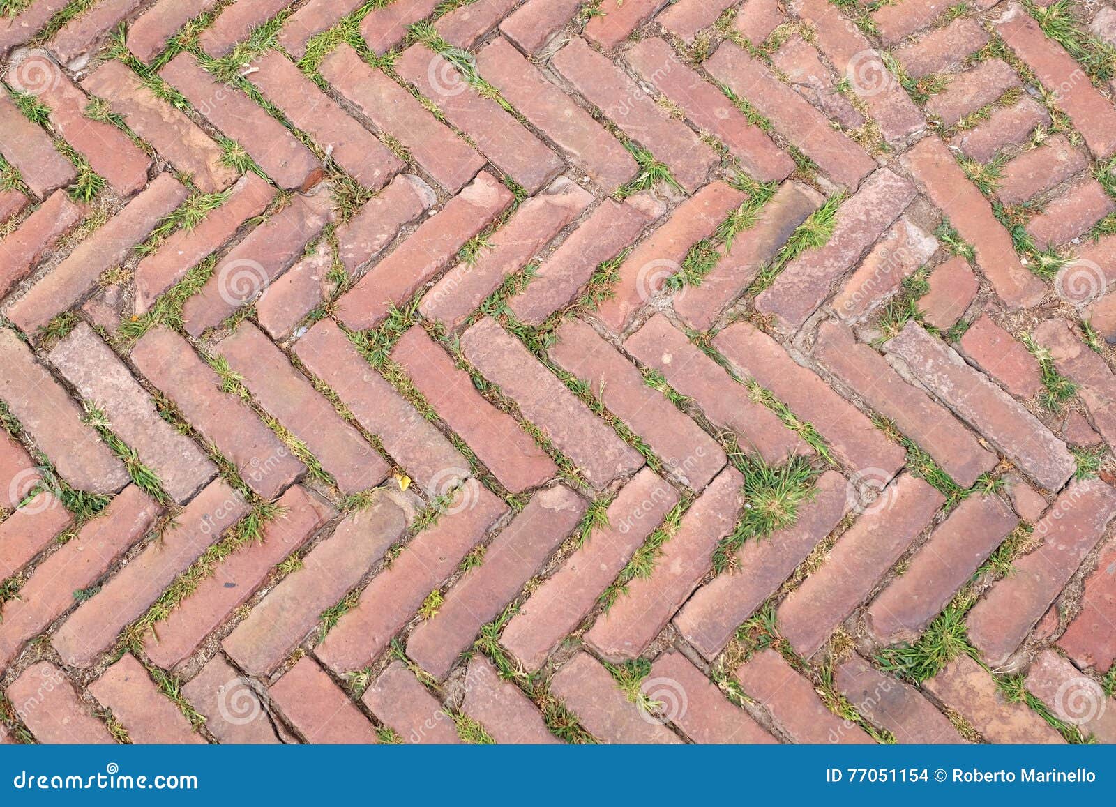 Tuscany paving stock photo. Image of cobblestone, outdoor - 77051154