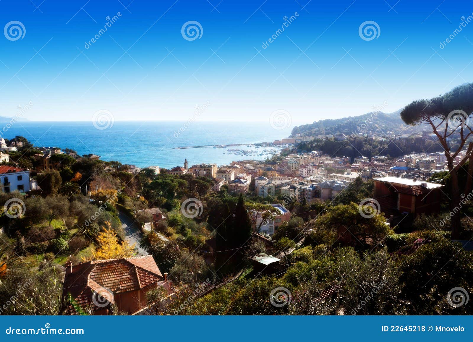 Tuscany Sea view stock photo. Image of flora, geometry - 22645218