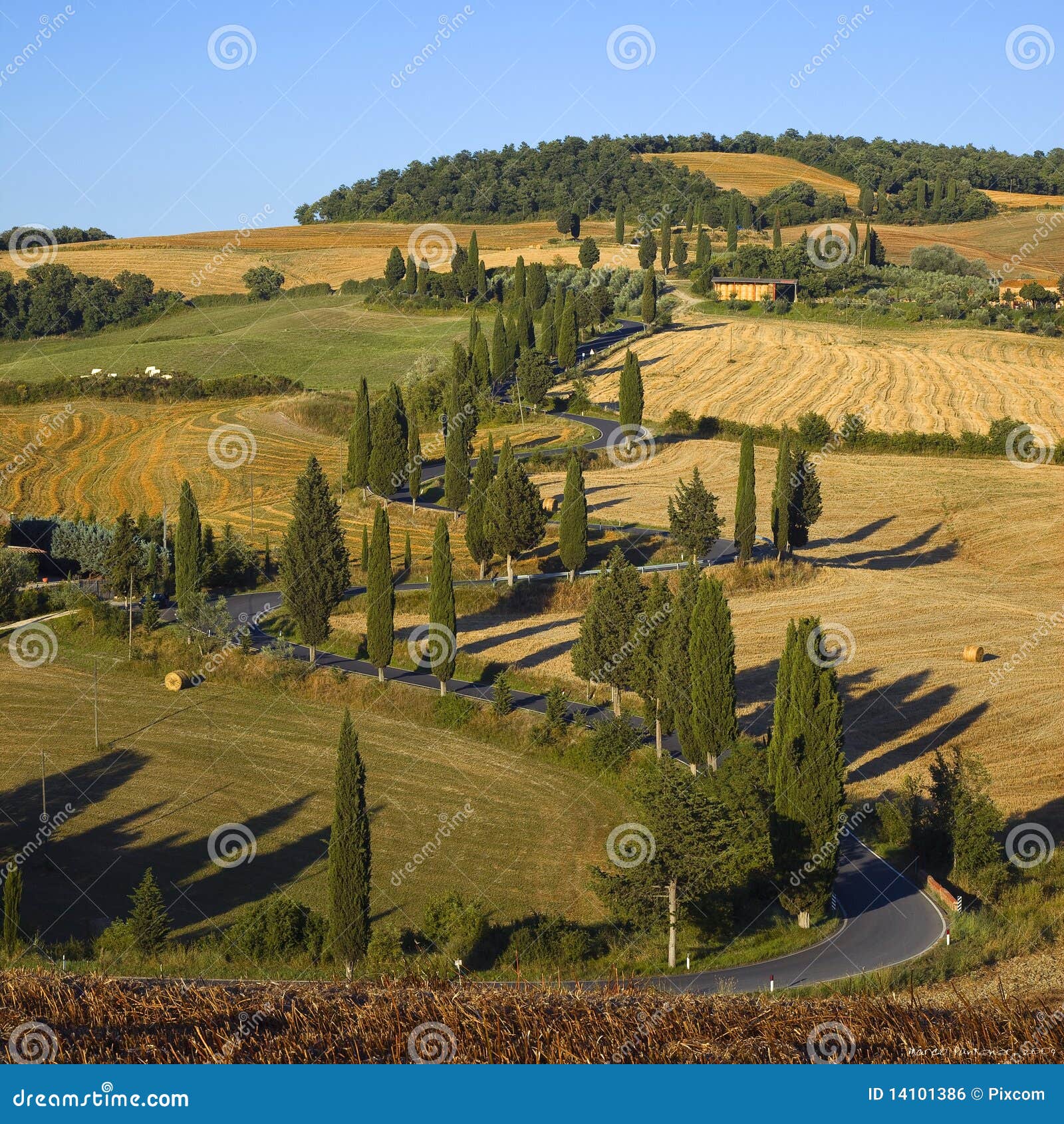 Tuscany - serpentine stock photo. Image of scenery, landscape - 14101386