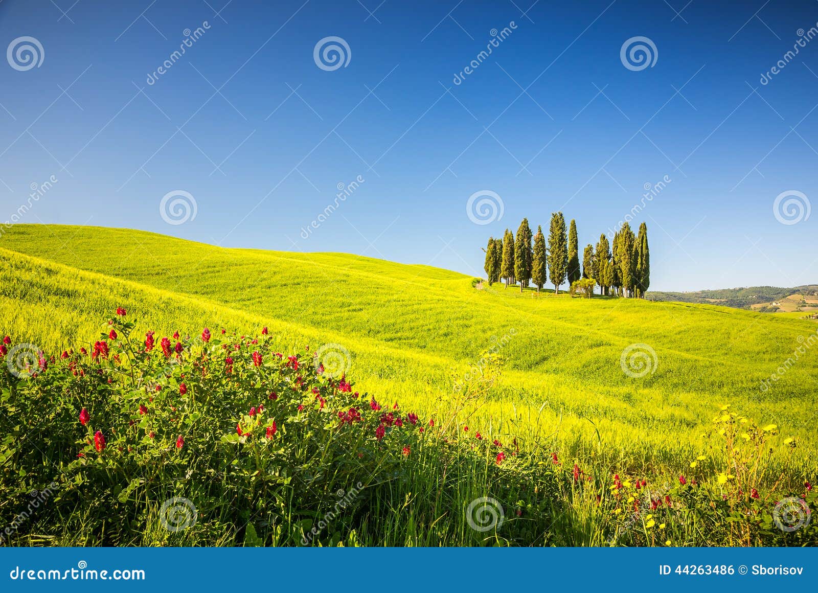 Tuscany at spring stock photo. Image of amazing, rural - 44263486