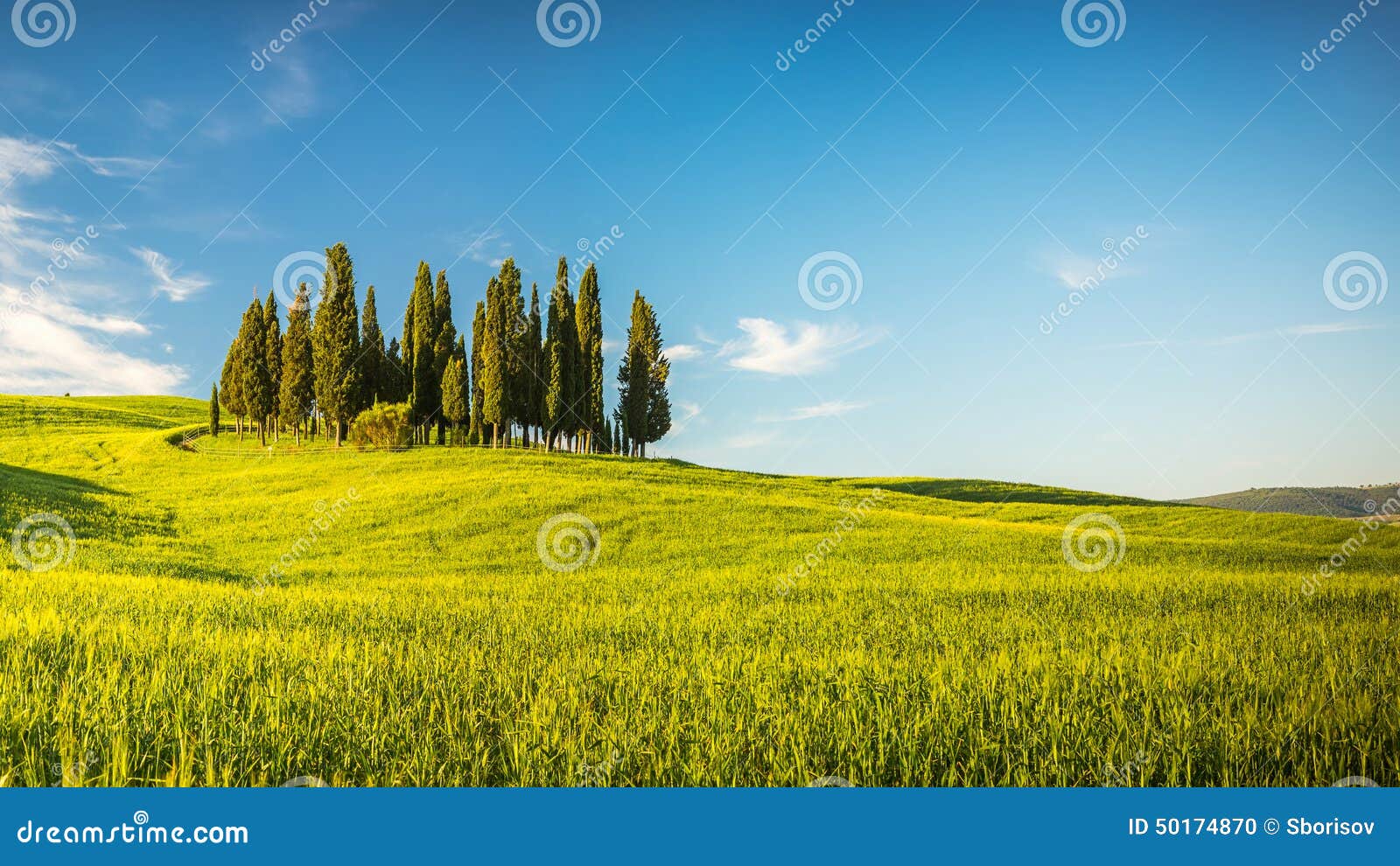 Tuscany at spring stock photo. Image of green, hill, beauty - 50174870