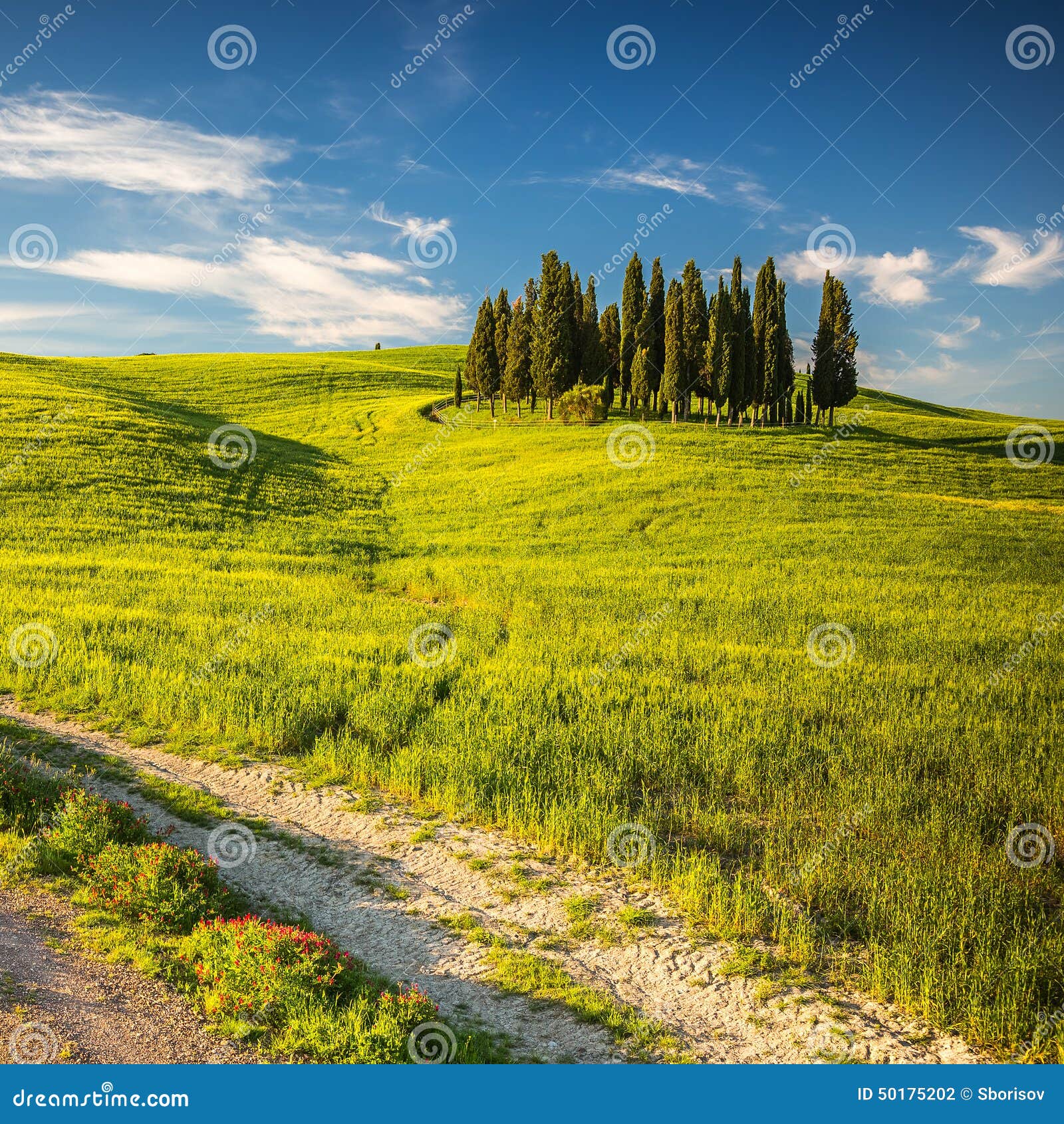 Tuscany at spring stock photo. Image of path, nature - 50175202