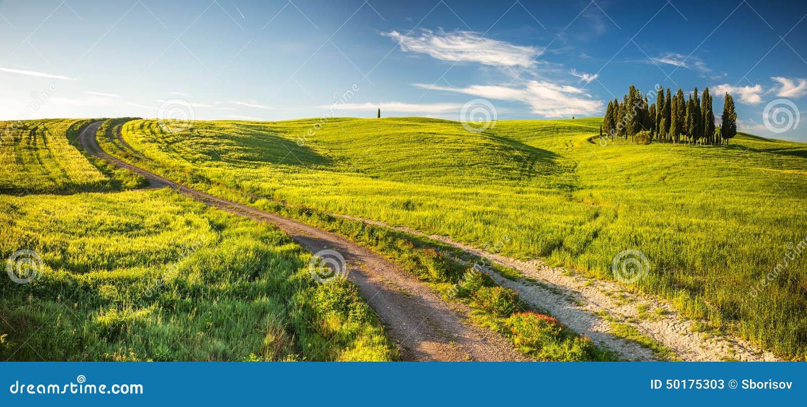 Tuscany at spring stock image. Image of italia, green - 50175303