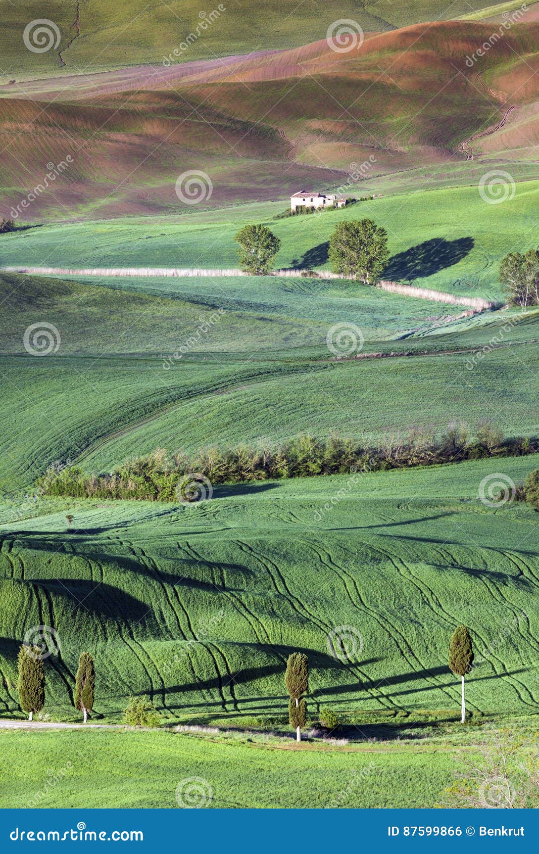 Tuscany spring landscape stock photo. Image of farm, landscape - 87599866