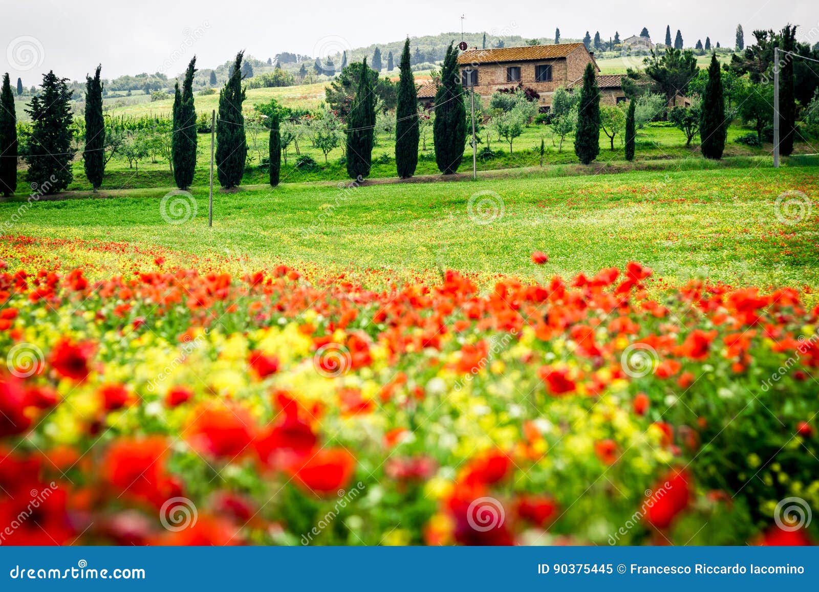 Tuscany, spring landscape stock image. Image of scenics - 90375445