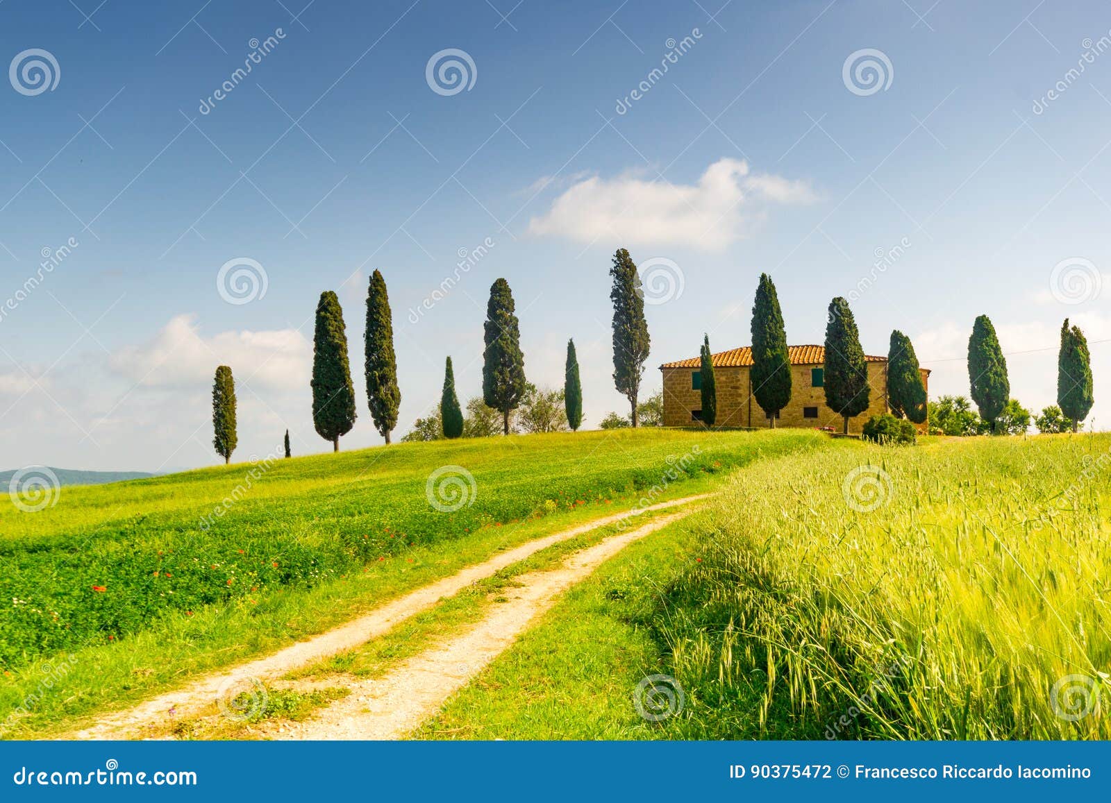 Tuscany, spring landscape stock photo. Image of field - 90375472