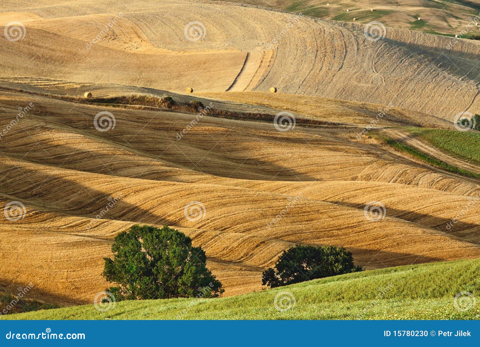 Tuscany summer landscape stock photo. Image of scenic - 15780230