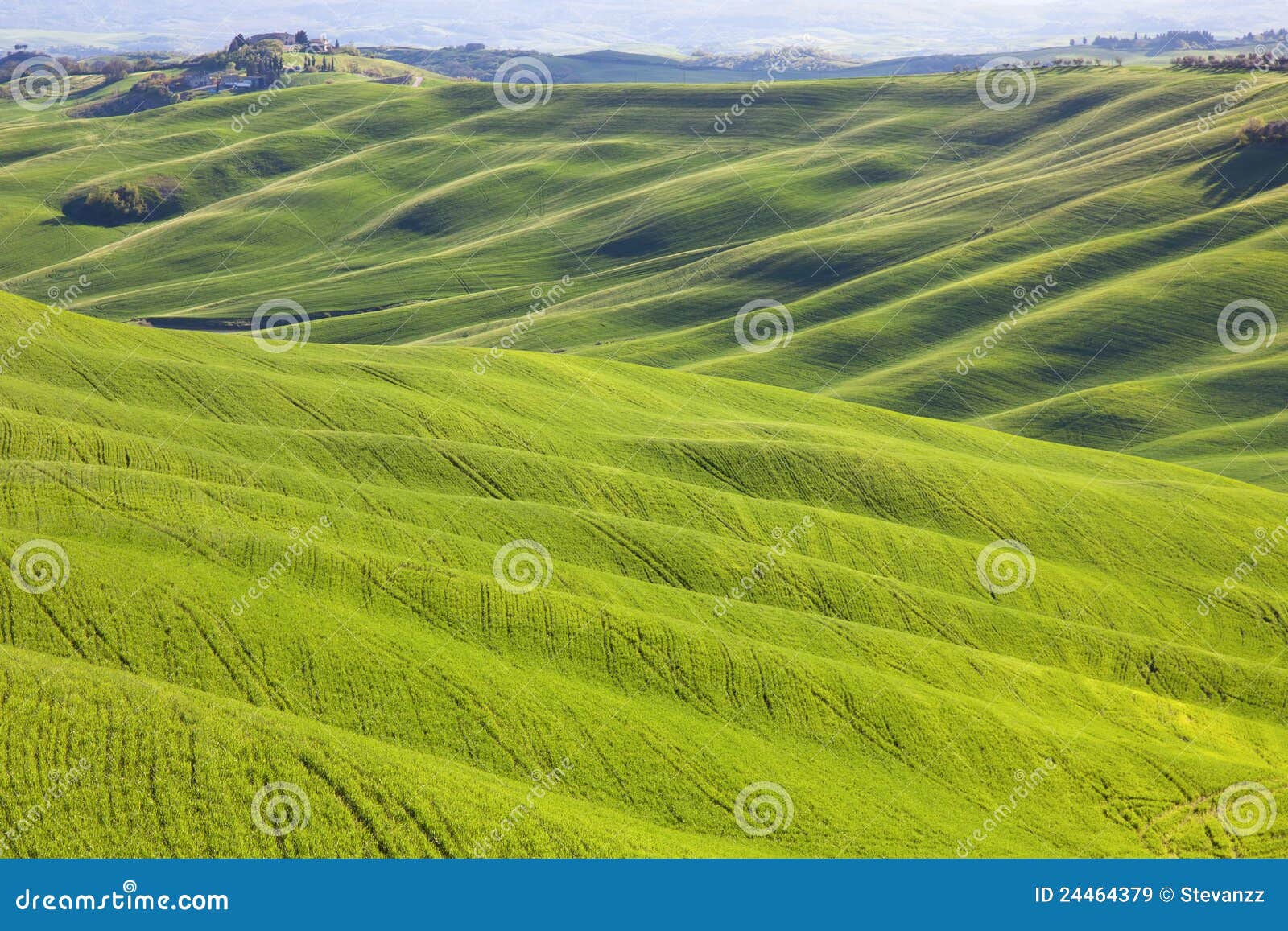 Tuscany, Undulating Rural Landscape, Italy Stock Image - Image of crete ...