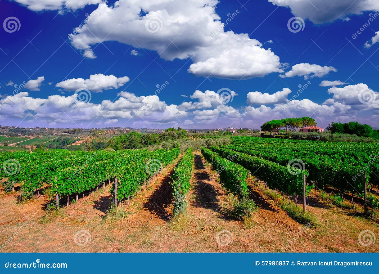 Tuscany Wine Farm House stock image. Image of italian - 57986837