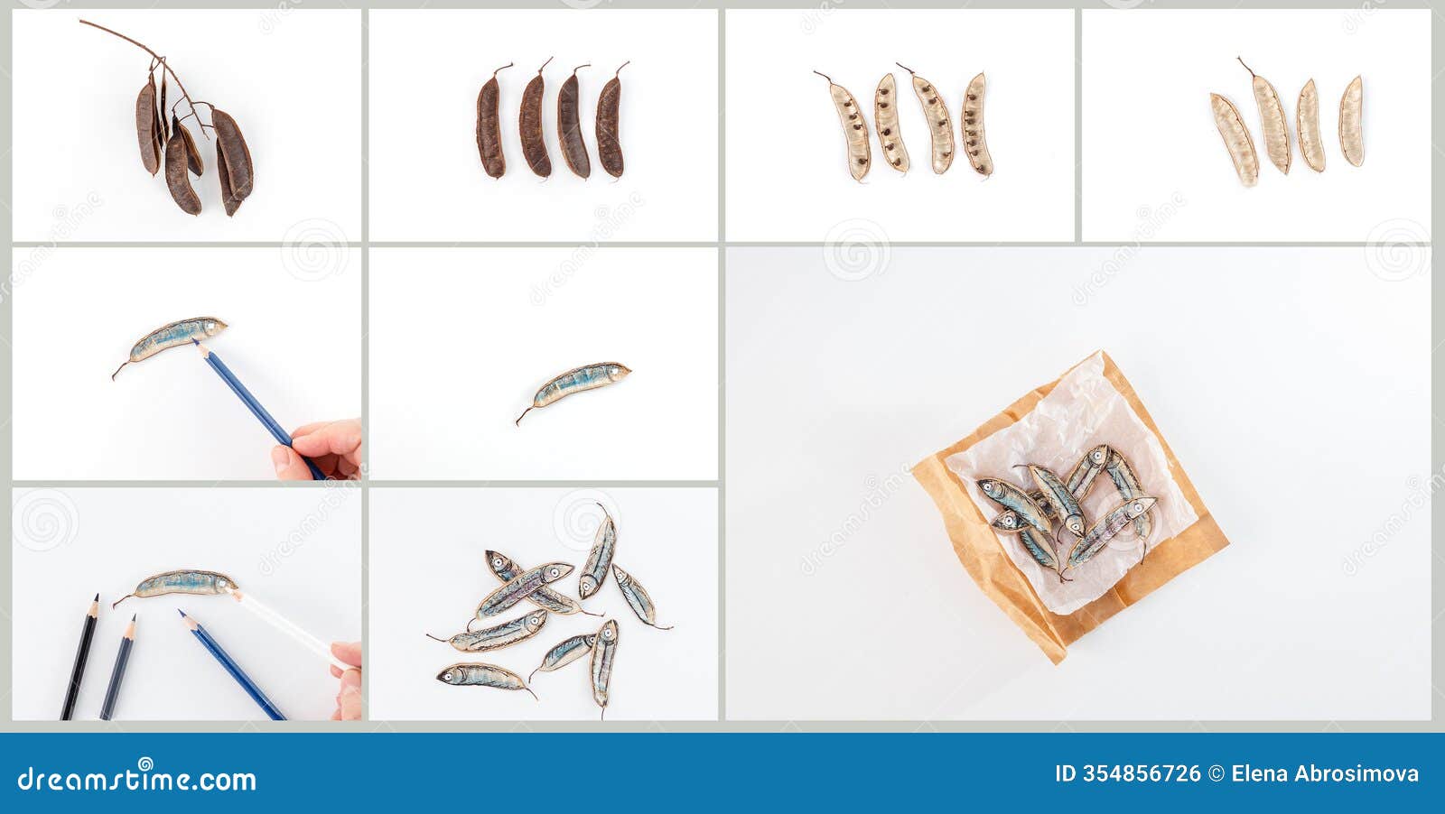 Tutorial, Creative Transformation Natural Seed Pods into Miniature Fish ...