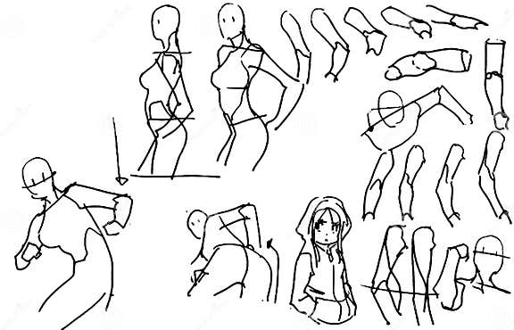 Tutorial of Drawing Female Body. Drawing the Human Body, Step by Step ...