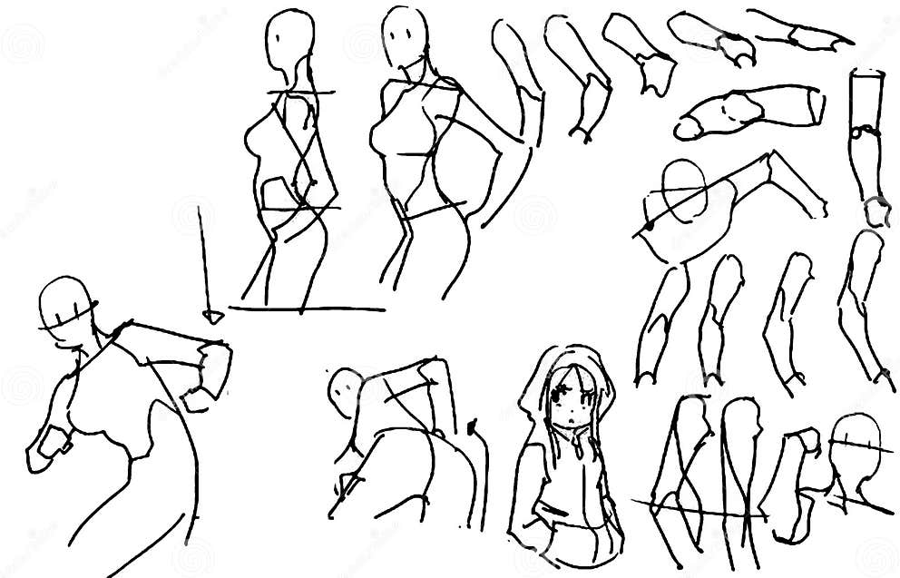 Tutorial of Drawing Female Body. Drawing the Human Body, Step by Step ...