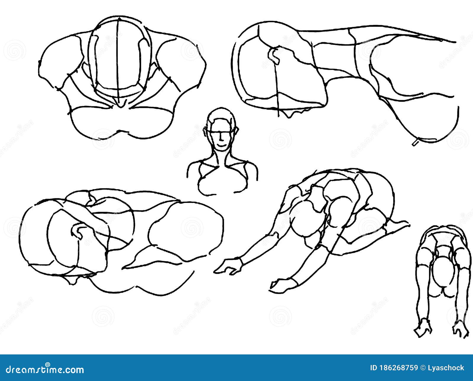 Tutorial of Drawing Female Body. Drawing the Human Body, Step by Step ...