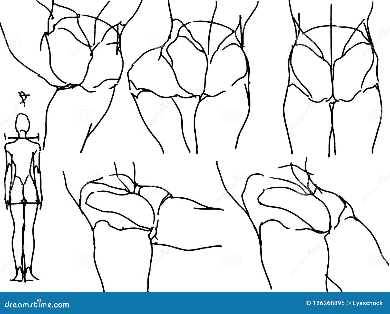 Tutorial of Drawing Female Body. Drawing the Human Body, Step by Step ...