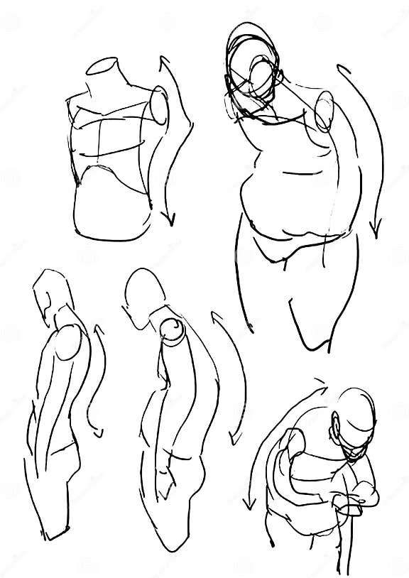 Tutorial Of Drawing Female Body Drawing The Human Body Step By Step
