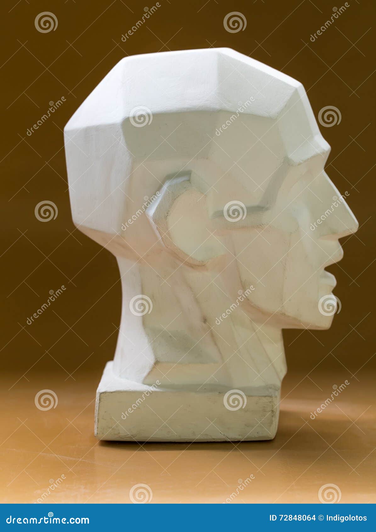 Tutorial Primitive Plaster Head Model. Stock Photo - Image of model ...