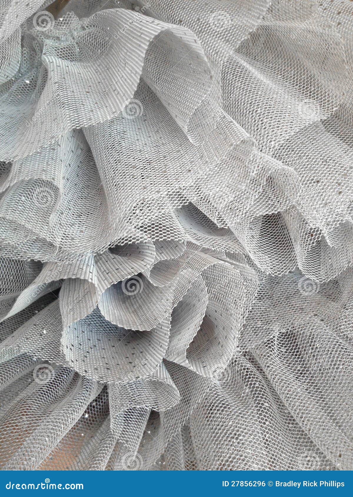 Tutu close up stock photo. Image of sparkling, tulle - 27856296