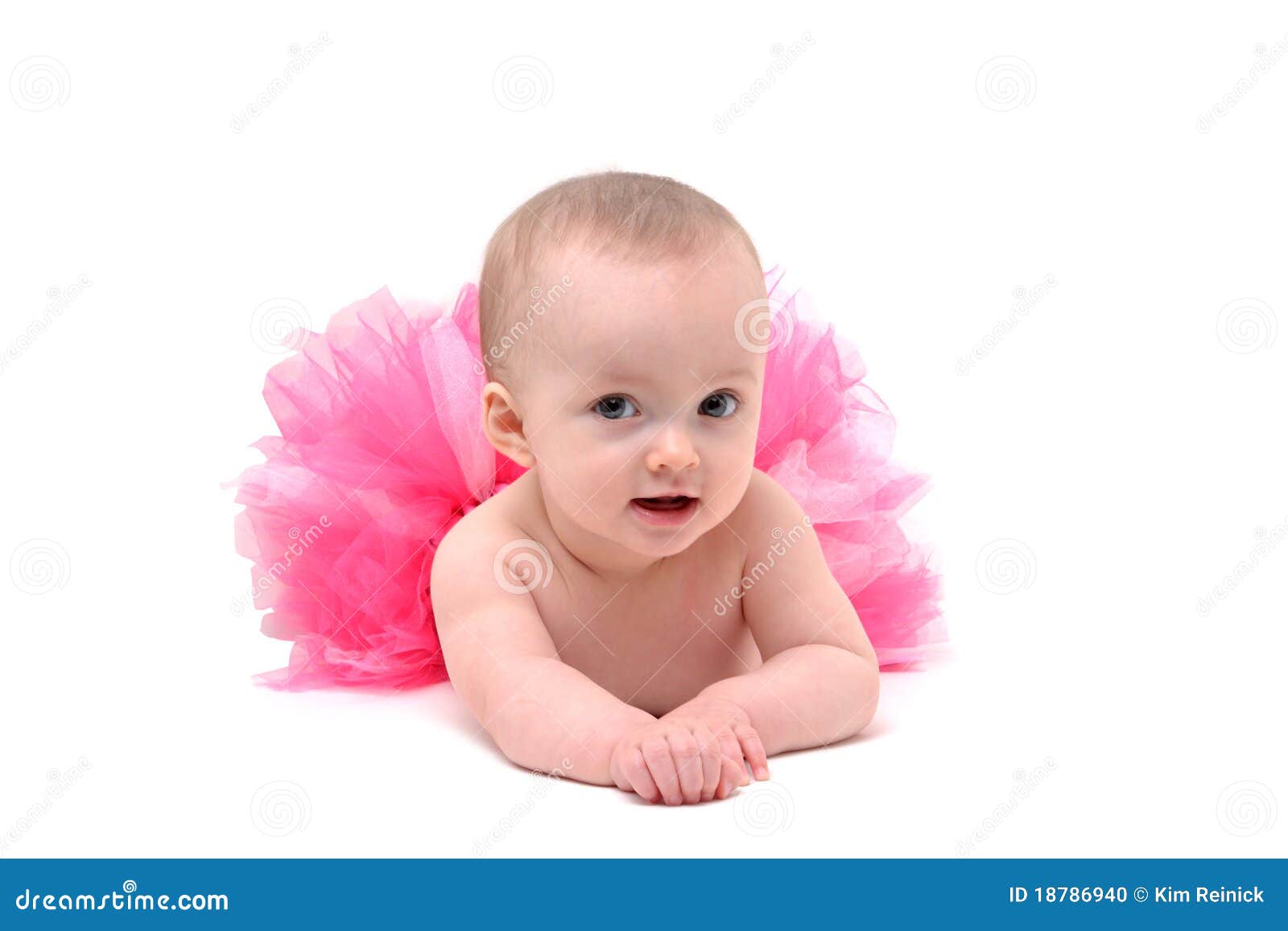 Tutu Cute stock photo. Image of torso, lying, adorable - 18786940