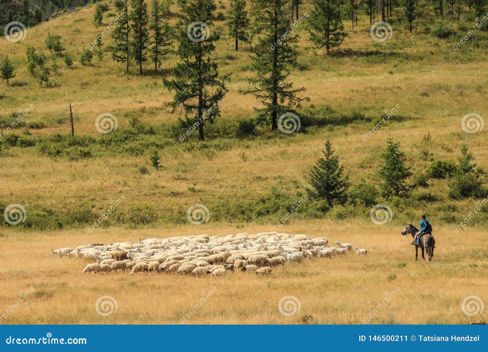 Tuvan People Stock Photos - Free & Royalty-Free Stock Photos from ...