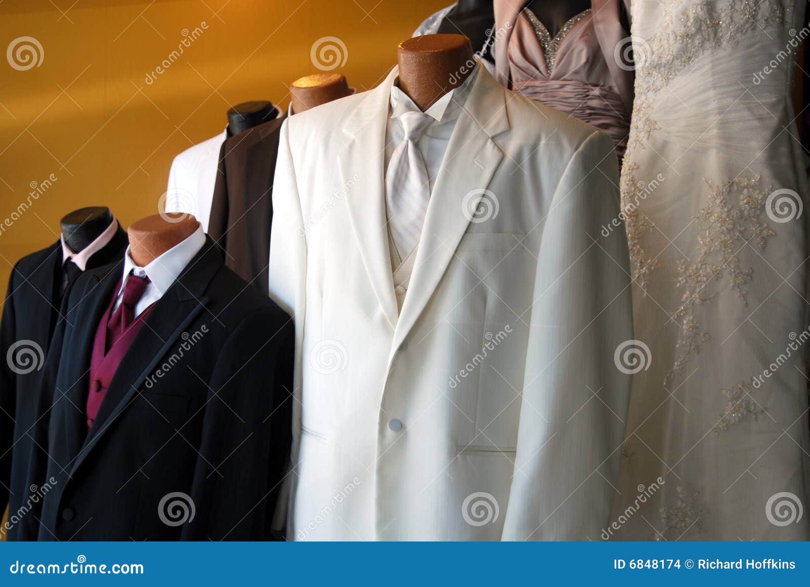 Tuxedos and Gowns stock photo. Image of business, display - 6848174