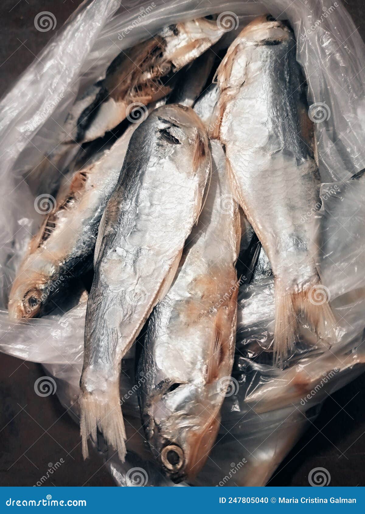 Tuyo Salted Dry Fish stock photo. Image of tuyo, food - 247805040