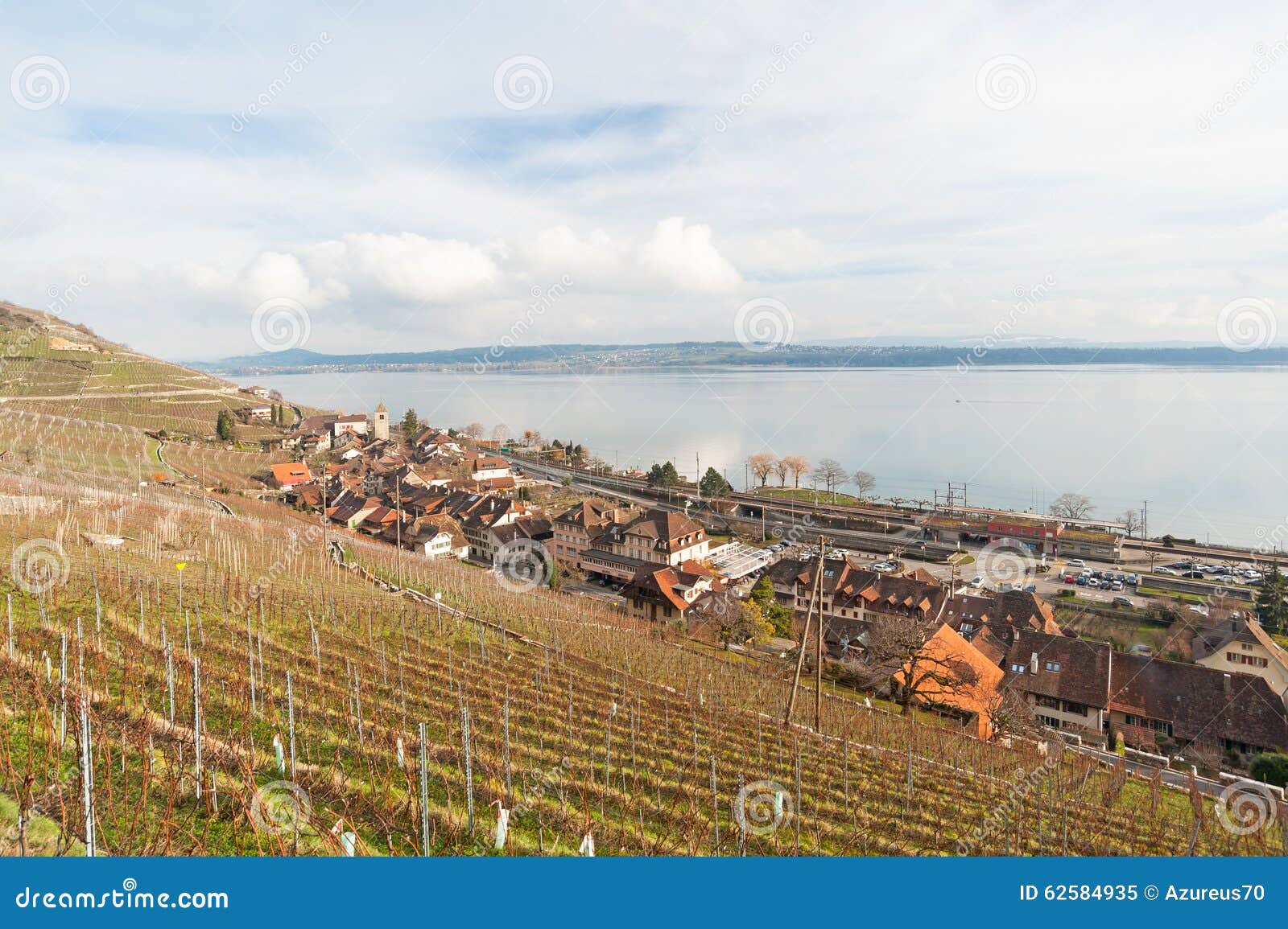 Twann stock image. Image of bienne, tafrac14, wine, landscape - 62584935