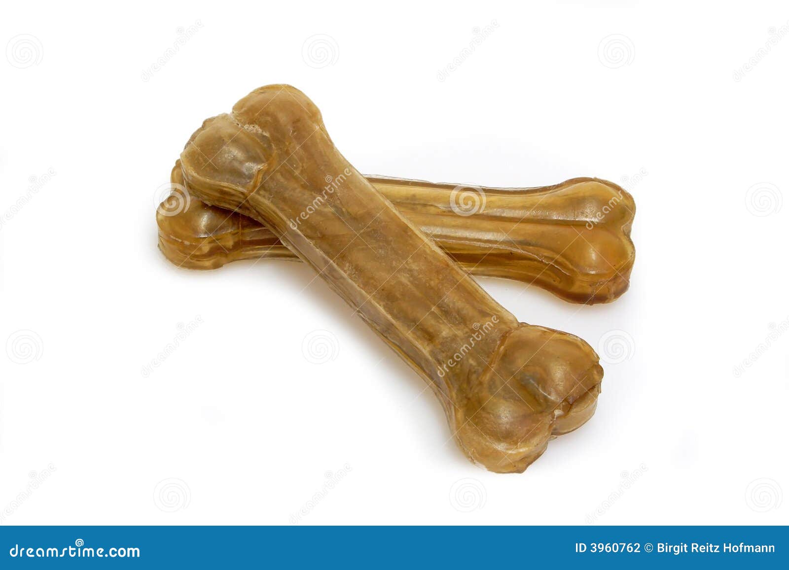 Twee Beenderen van de Hond stock foto. Image of hond, koekje - 3960762