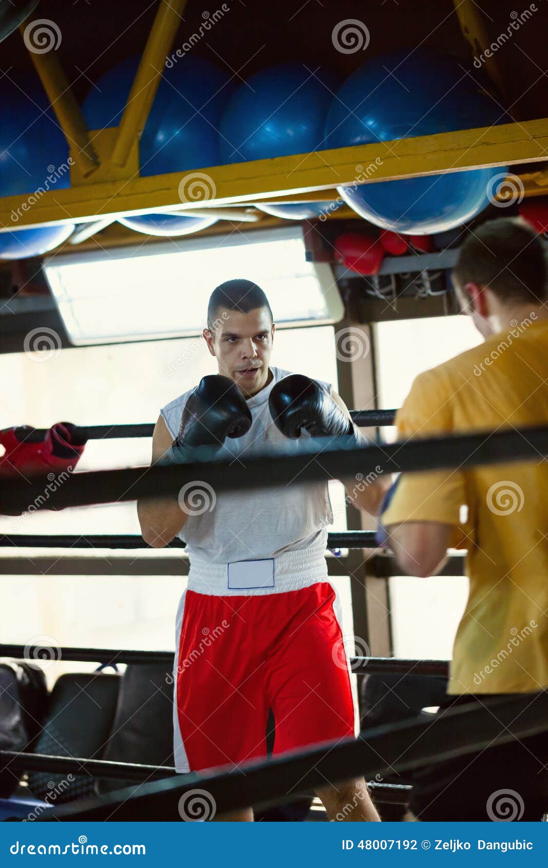 Twee Boksers bij Opleiding stock foto. Image of vechter - 48007192