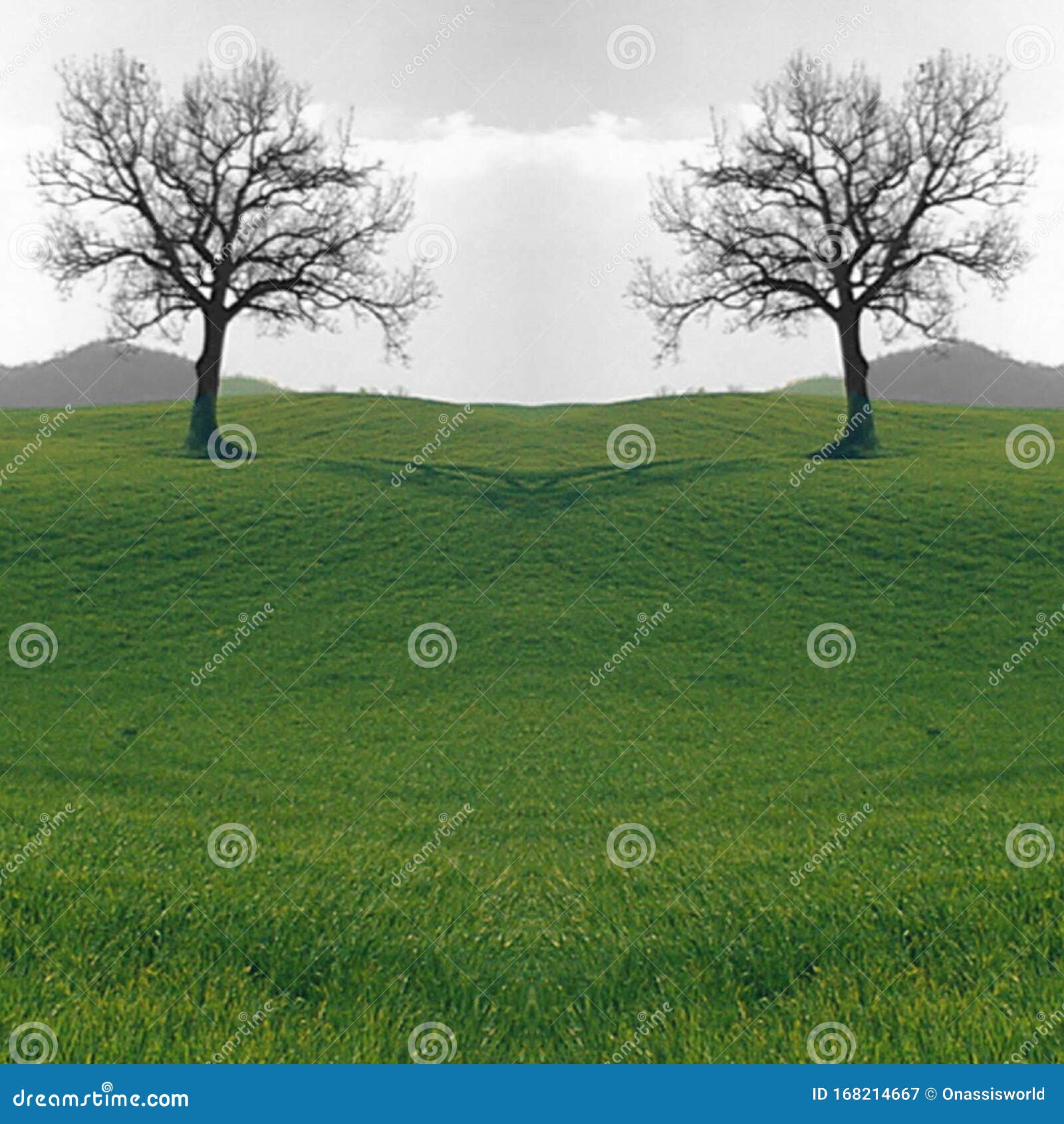 Twee Bomen in Een Groen Veld Abstract Stock Afbeelding - Image of ...