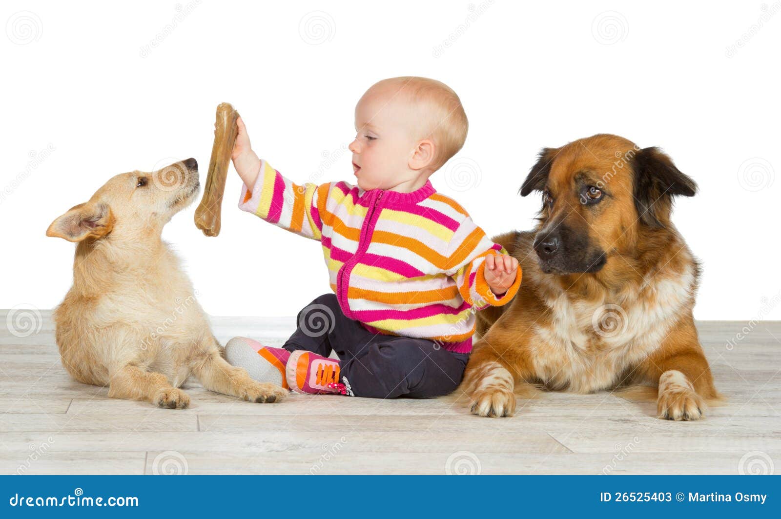 Twee Honden Die Een Leuke Baby Flankeren Stock Afbeelding - Image of ...