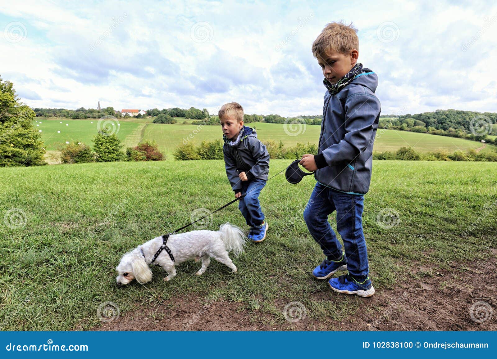 Twee Jongens Die Kleine Witte Hond Lopen Stock Foto - Image of lood ...