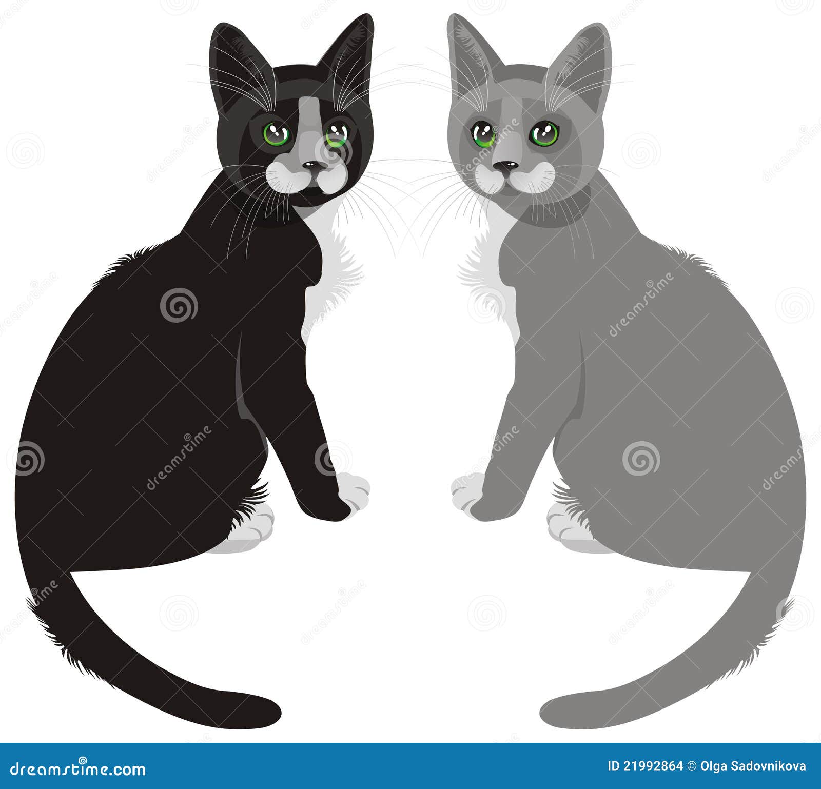 Twee katten vector illustratie. Illustration of twee - 21992864
