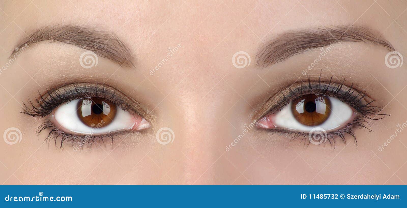 Twee ogen stock foto. Image of sluit, nadruk, vrouwelijkheid - 11485732