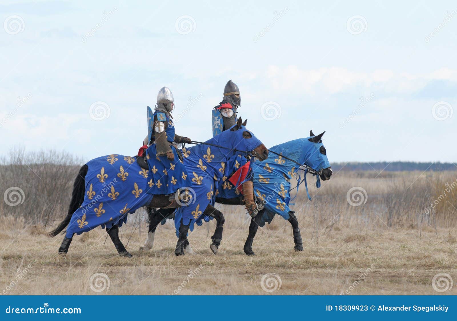 Twee Ridders Van Het Paard Op Het Gebied Redactionele Stock Foto ...