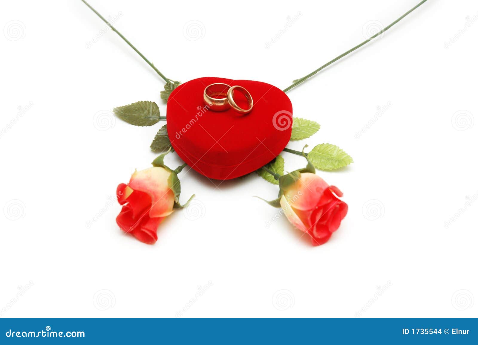 Twee Rozen En Trouwringen Zijn Stock Foto - Image of ceremonie, sluit ...