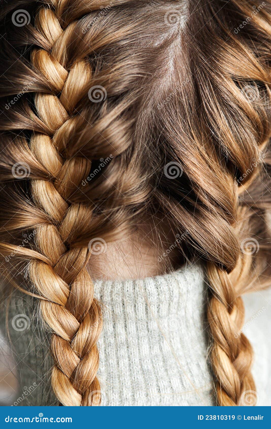 Twee vlechten stock afbeelding. Image of draak, vrij - 23810319